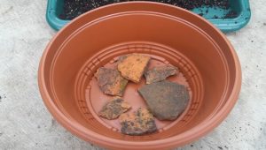 How To Cover Drainage Holes In Pots - Step By Step Guideline