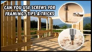 Can You Use Screws For Framing? - Tips & Tricks