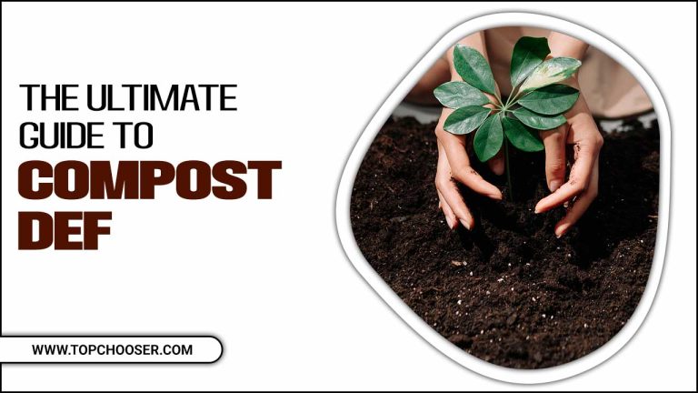 Compost Def: 5 Quick And Easy Steps