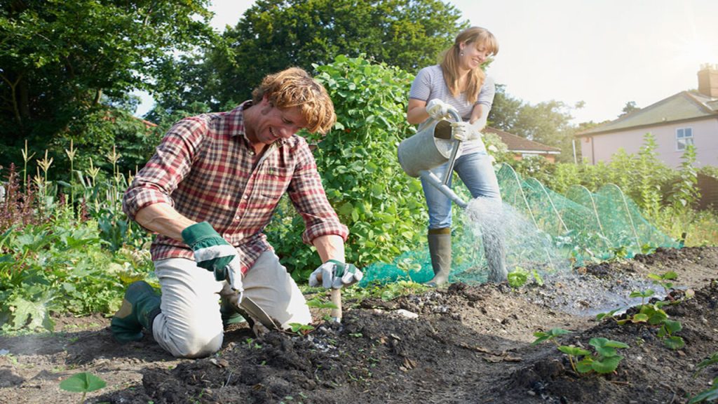 American Compost: A Guide For Beginners