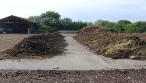 Composting In Urban Environments: Step By Step Making Process