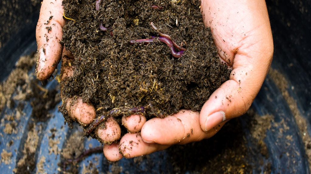 Aeration Compost: The Key To Healthy Soil