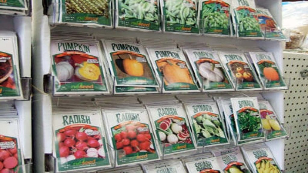 Growing Your Garden With Confidence: The Ultimate Burpee Seeds Reviews