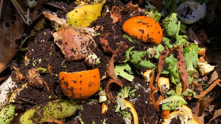 The Compost Act: A Guide To Sustainable Waste Management
