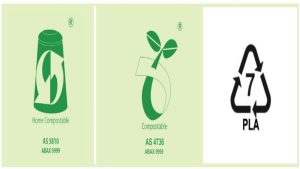 All You Need To Know About The Compostable Symbol