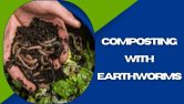 The Wonders Of Composting With Earthworms: A Comprehensive Guide