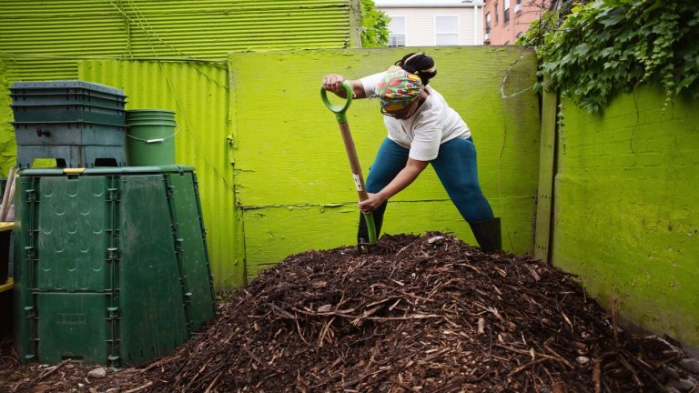 Composting Business Made Easy: Essential Steps For Success