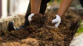 How Compost Centre Are Reducing Waste And Creating Sustainable Solutions
