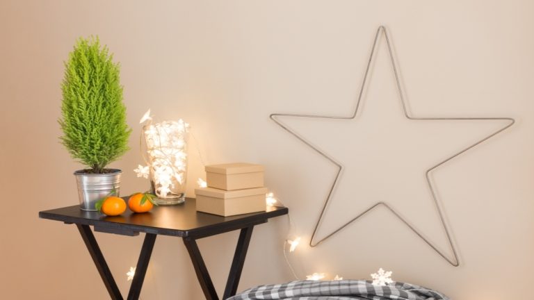 How To Grow & Care Ellwoodii Tree Indoors - The Quickest 7 Way