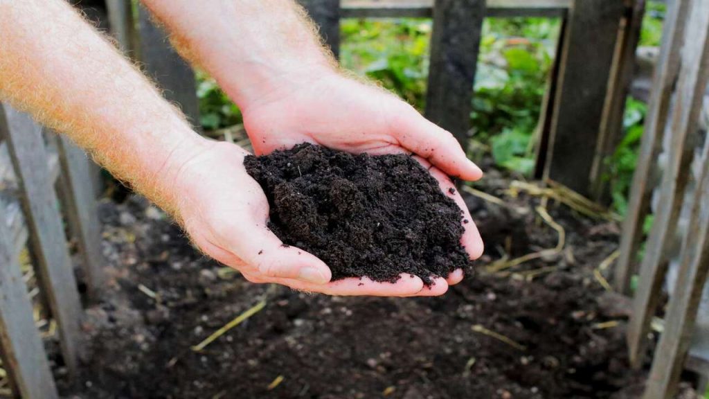 How To Start A Compost Business: Comprehensive Guide