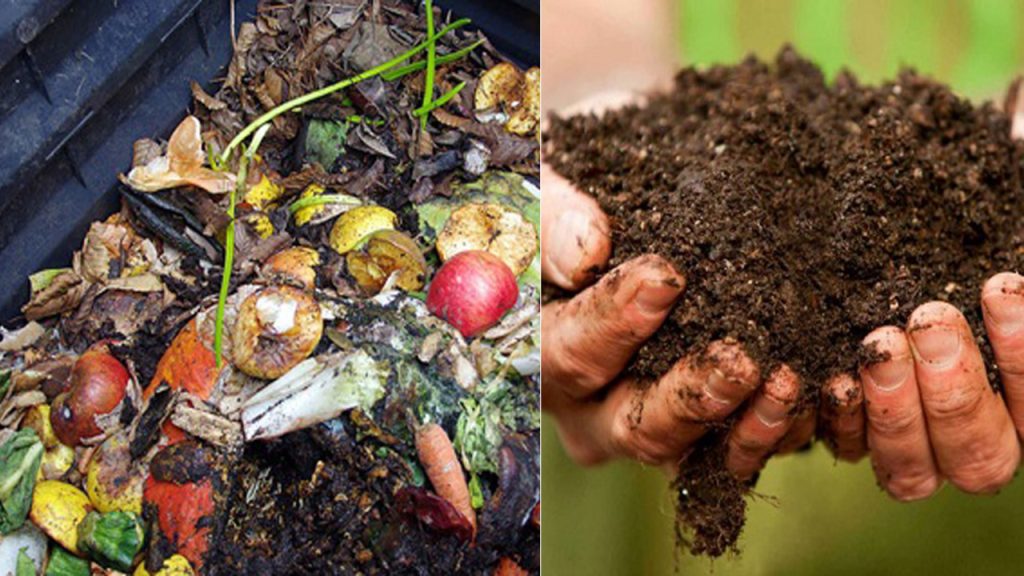 Discover Why Composting Is Important