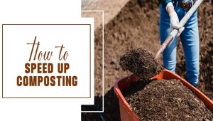 How To Speed Up Composting - Benefits Of Composting