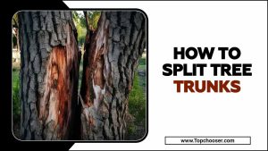 How To Split Tree Trunks - A Step By Step Guide