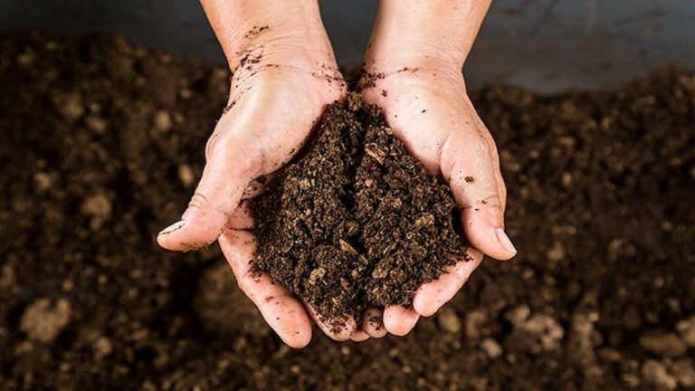 US Composting Council: Everything You Need to Know