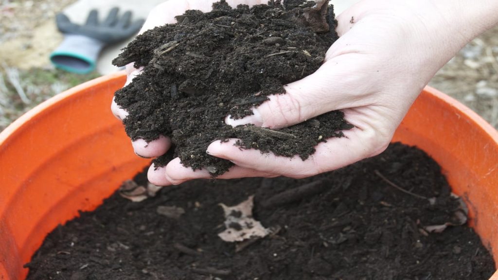 How To Start A Compost Business: Comprehensive Guide