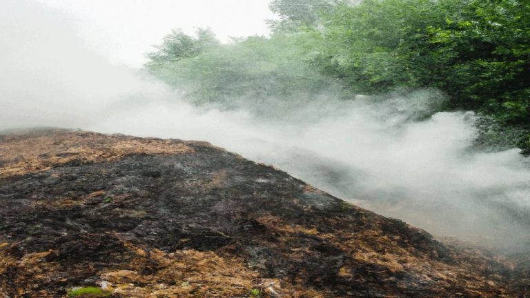Thermophilic Composting Made Easy: Expert Tips For Success