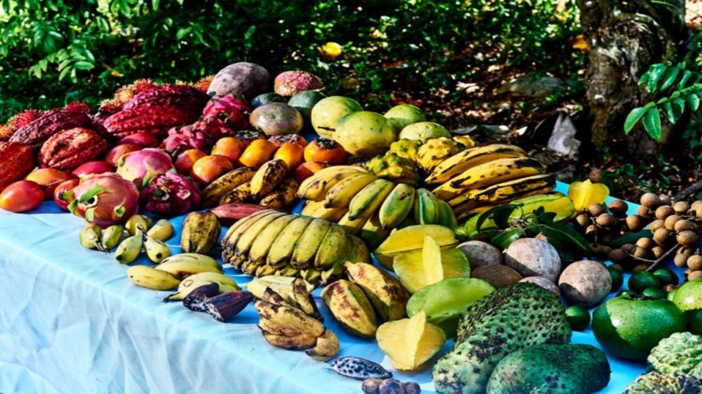 How To Connect With Fruit Enthusiasts On Tropical Fruit Forums