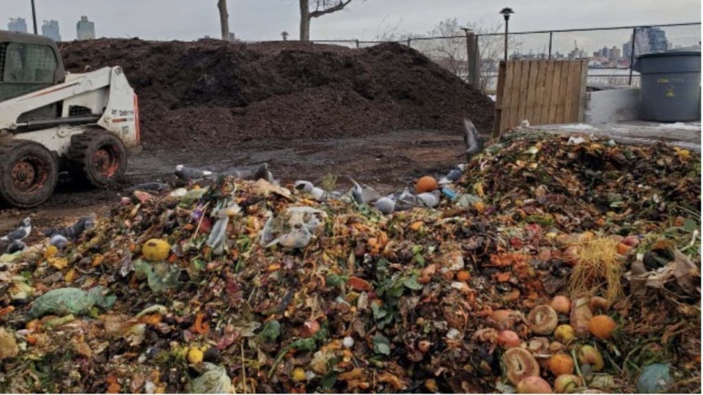 The Compost Act: A Guide To Sustainable Waste Management