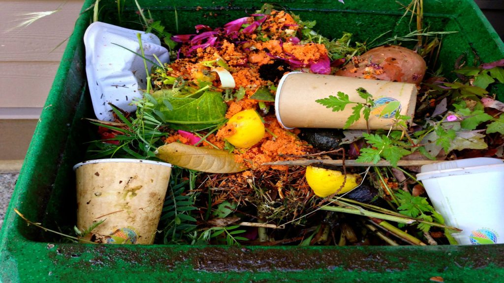 BPI Compostable: Exploring The Advantages