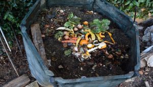 Composting Tips For An Urban Living - Step-By-Step Guide