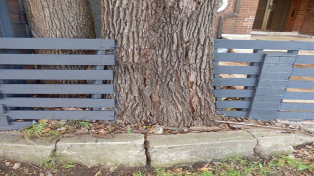 How To Fence Around A Tree - The Basics