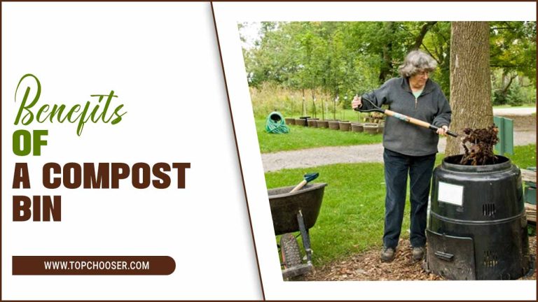 The Ultimate Guide To Composting: Benefits Of A Compost Bin
