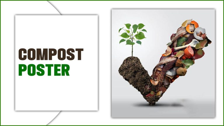 How To Make A Compost Poster: A Easy Guide