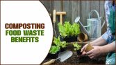 Composting Food Waste Benefits: Environmental, Financial, Gardening