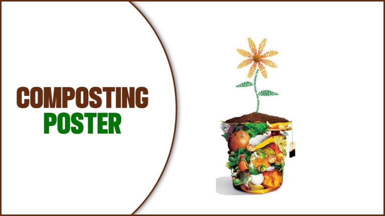 The Ultimate Composting Poster: Everything You Need To Know