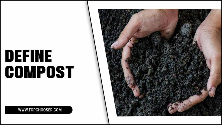 Define Compost: Everything You Need To Know