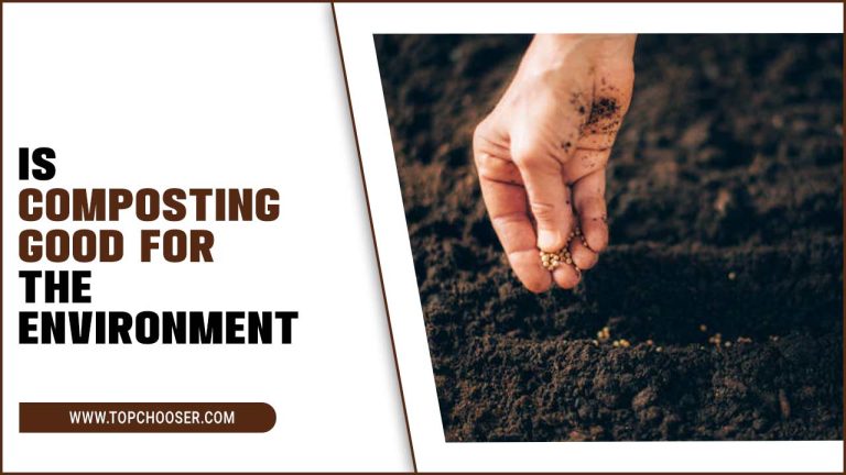 Is Composting Good For The Environment: Comprehensive Guide