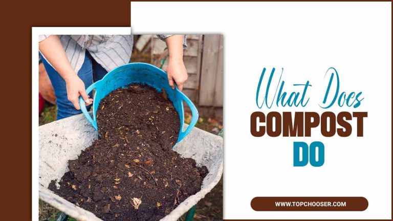 Unleashing The Power Of Compost Logo: Designing For Impact