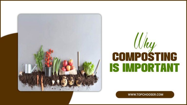 Discover Why Composting Is Important