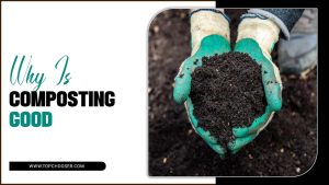 Why Is Composting Good: Quick Tips For Success
