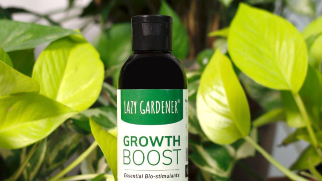 Root Rocket Fertilizer: The Secret To Thriving Plants