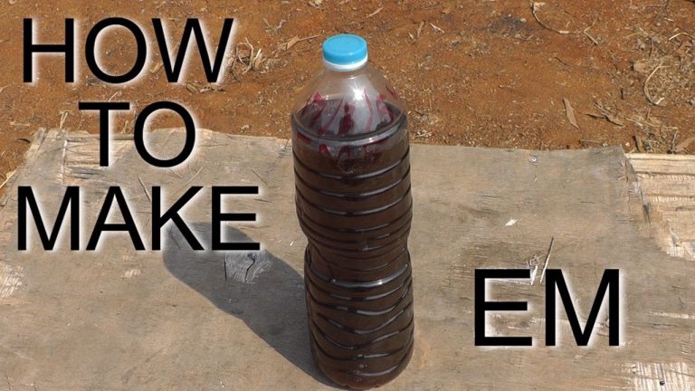 How To Make Eq Compost - Full Making Process