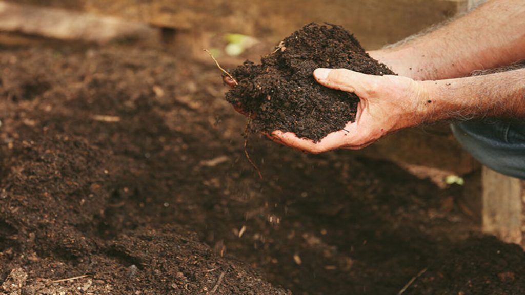 Tips For Adding Compost To Soil – A Step By Step Guide – Top chooser