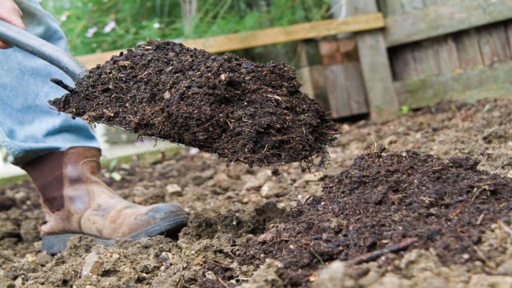 Tips For Adding Compost To Soil – A Step By Step Guide – Top chooser
