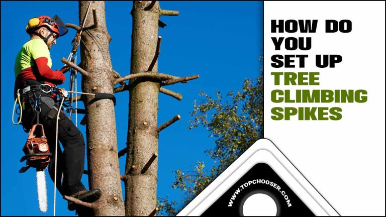 How Do You Set Up Tree Climbing Spikes? Step-By-Step Guide