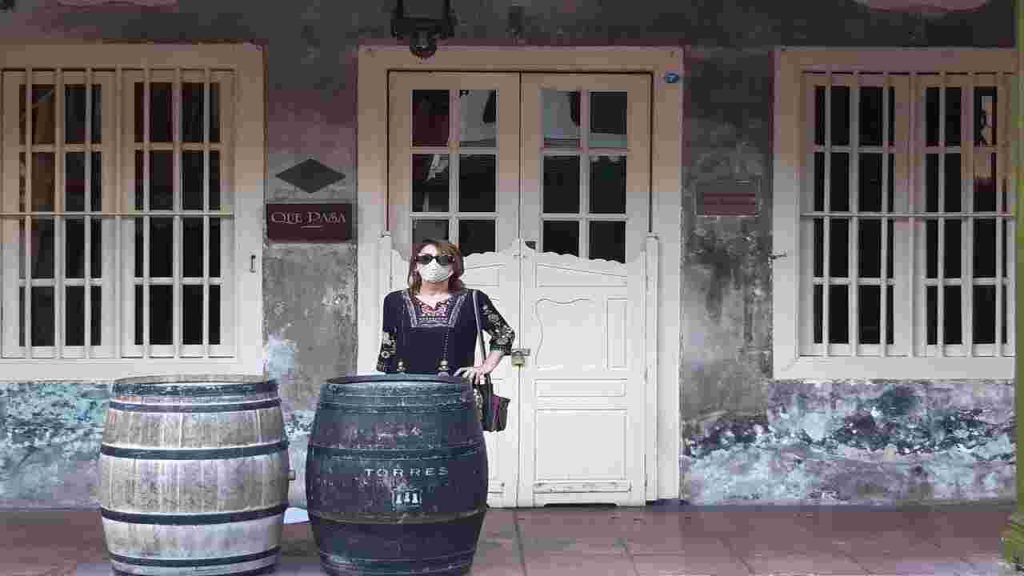 Best Grids From Double Pane Windows: Match Your Home