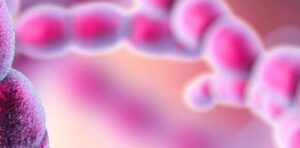 What Is Streptococcus In Urine? Causes & Symptoms Explained